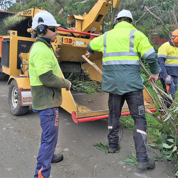 Vegetation Management Sector Compliance Training - RelyOn Australia